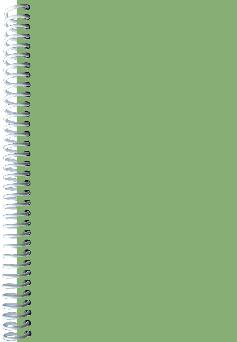 Custom Journal - Matte Green – The Custom Journal